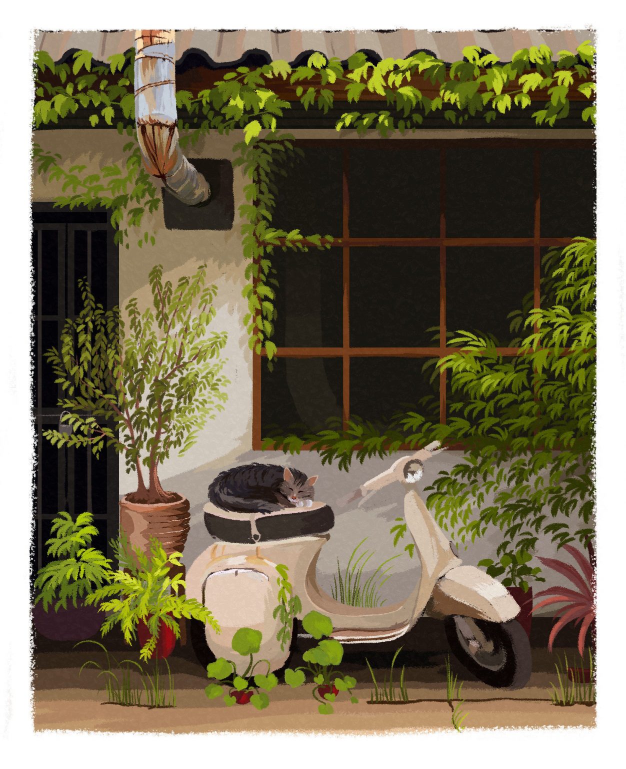 Hebrew Word – Raqia – Firmament – Project Torah Portion