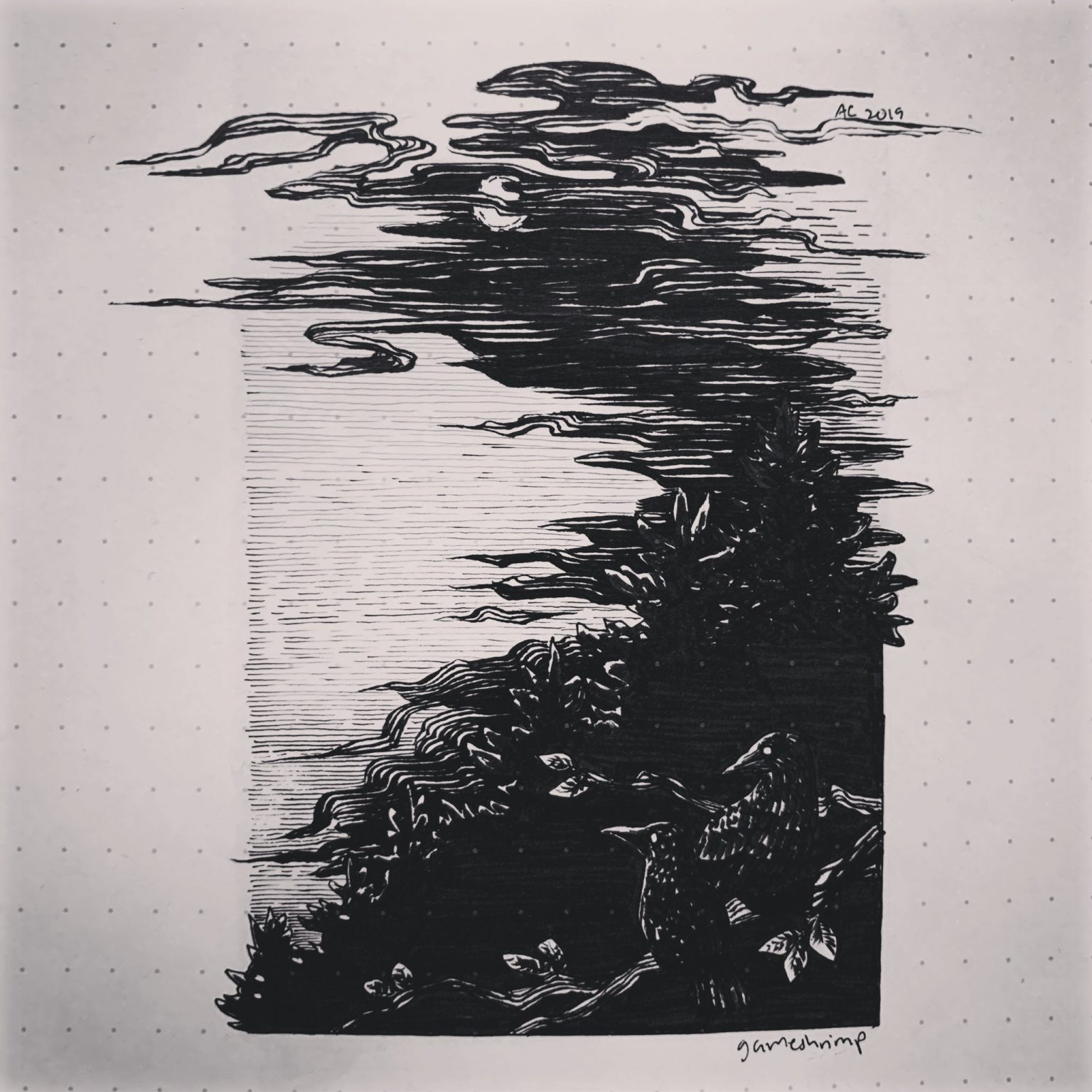 Hebrew Word – Raqia – Firmament – Project Torah Portion